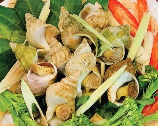 Hướng Dẫn Chế Biến Ốc Bulot Ngon Nhất - Hệ Thống Trang Trại & Phân Phối ...