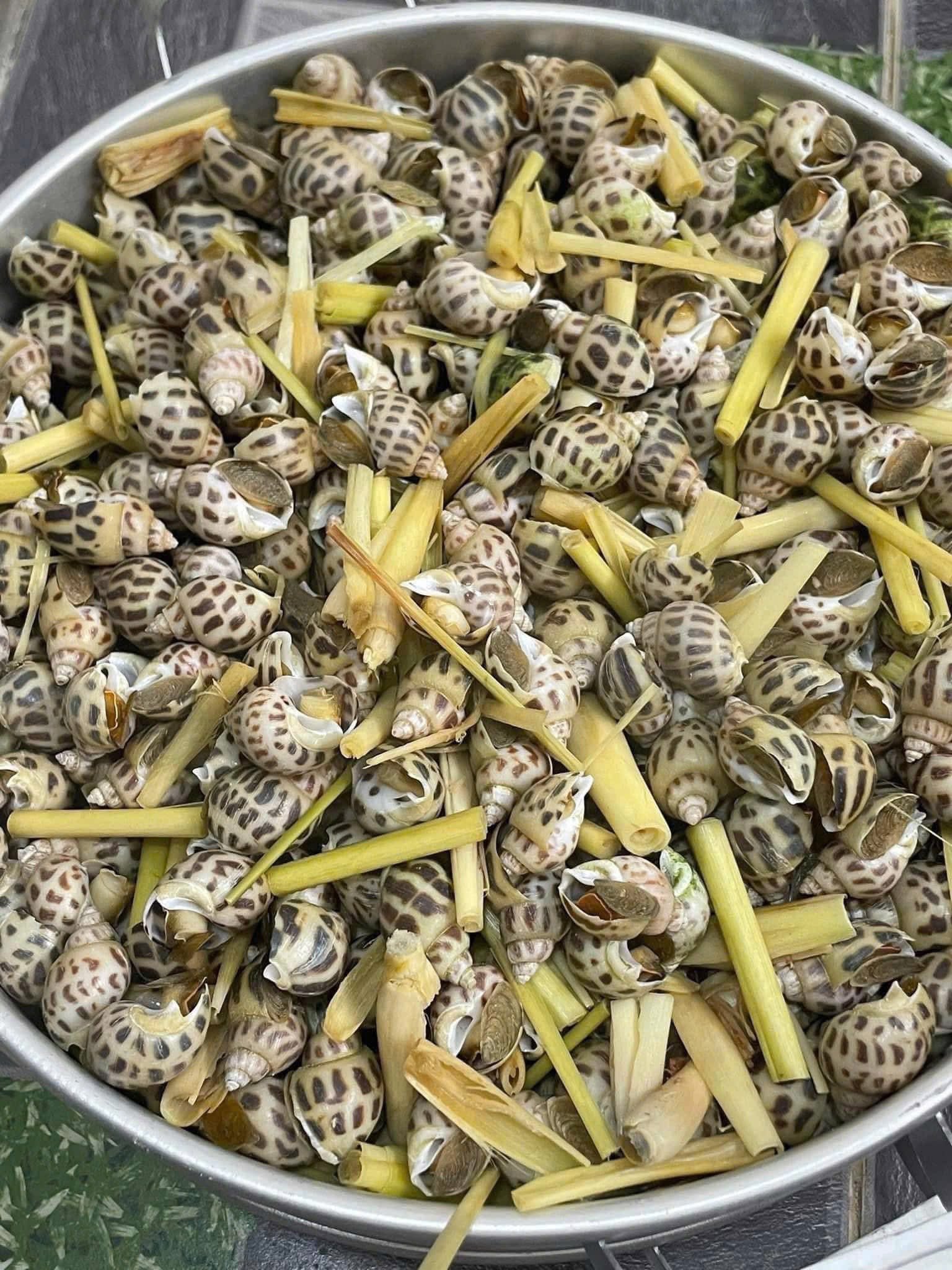 Ốc hương hấp sả ngon ngọt tại nhà - Hệ Thống Trang Trại & Phân Phối Hải ...